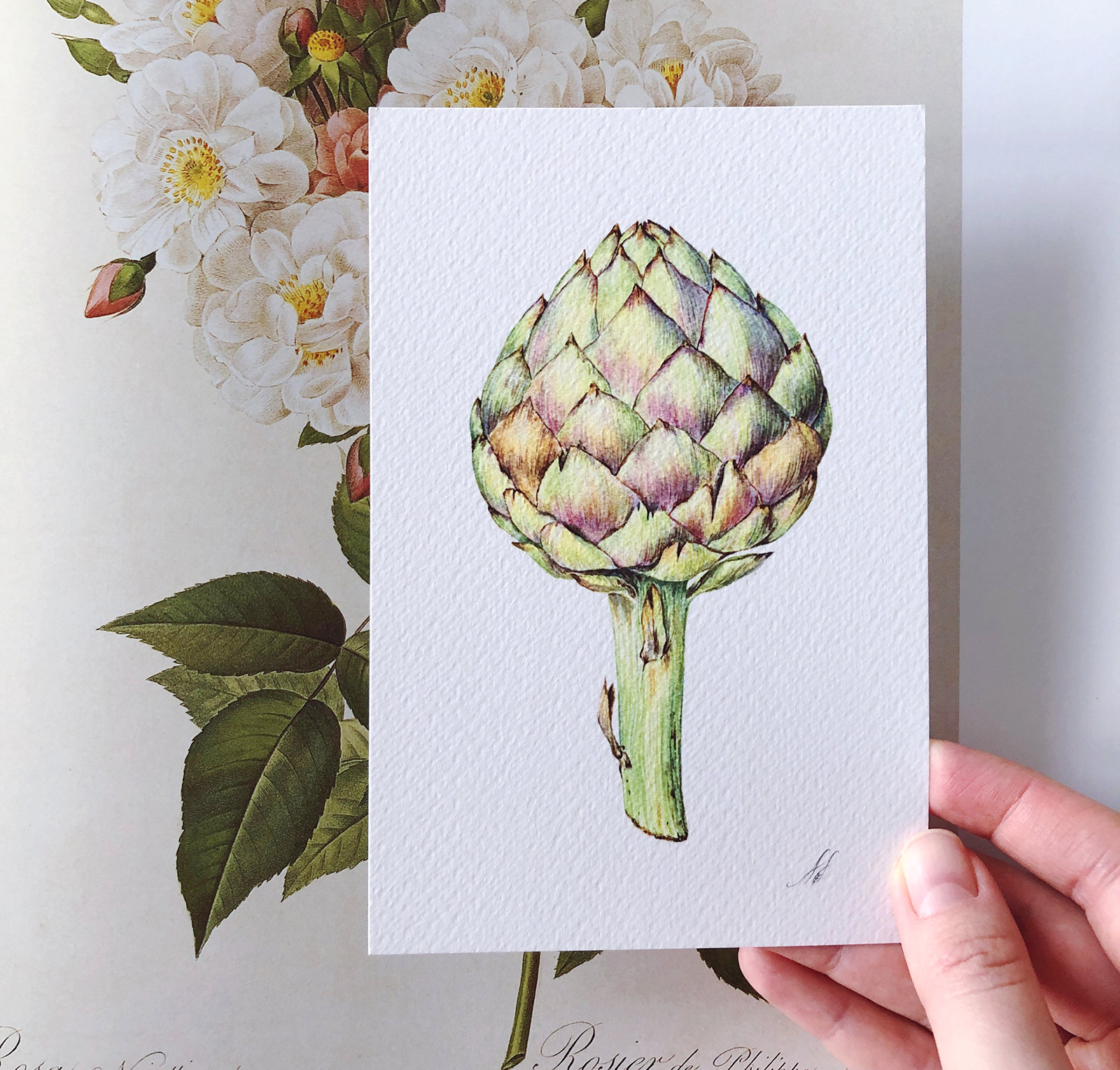 Vegetable Set of 3 Cards - Handmade Botanical Cards, Botanical ...