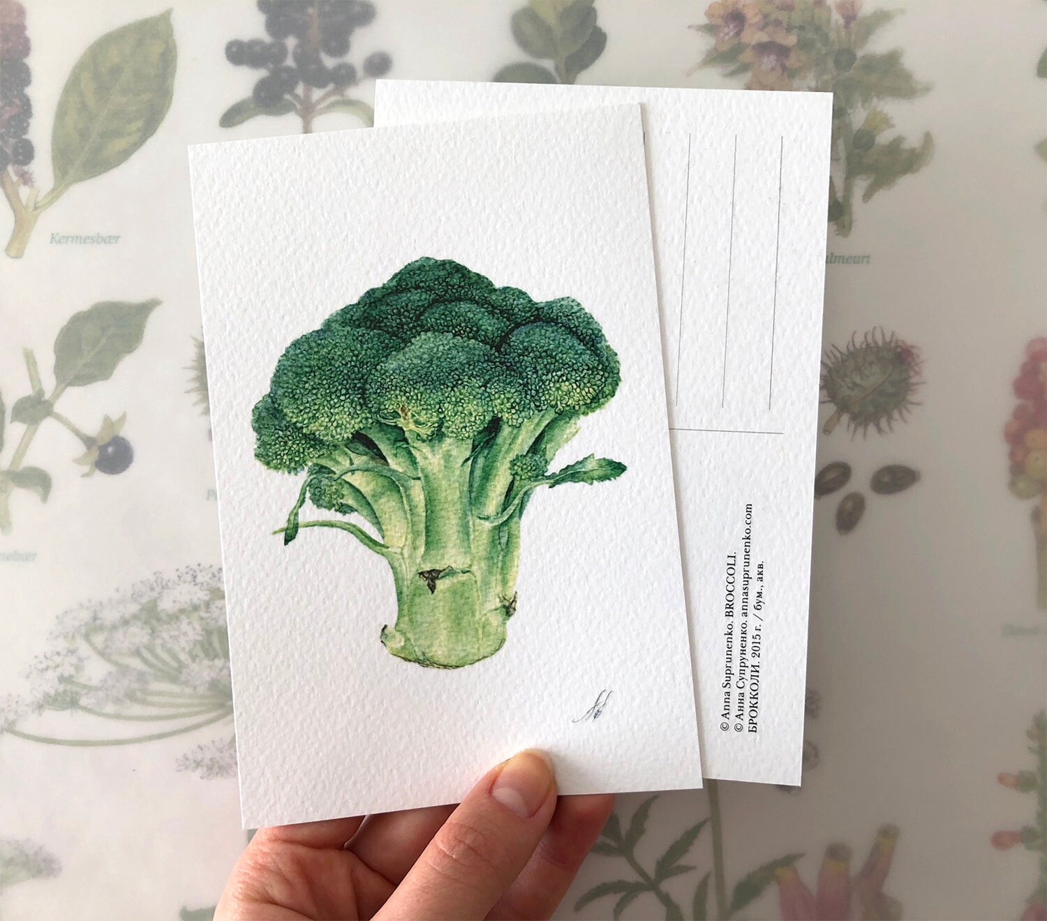 Vegetable Set of 3 Cards - Handmade Botanical Cards, Botanical ...