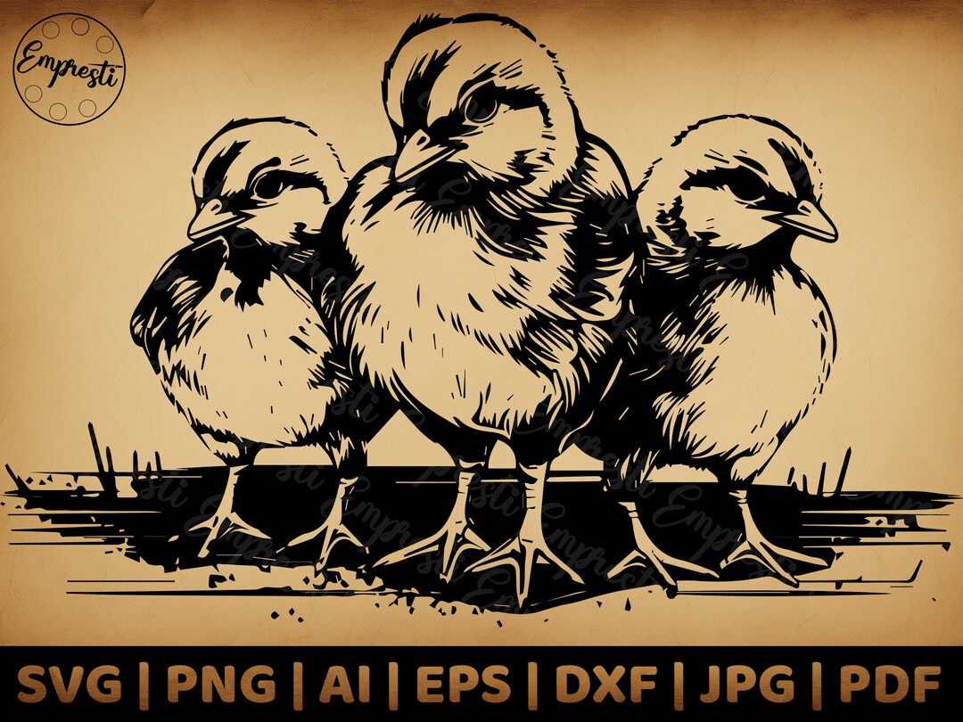 Baby Chicks Svg, Chicken T Shirt Design Svg, Farm Animal Clipart, Farm ...
