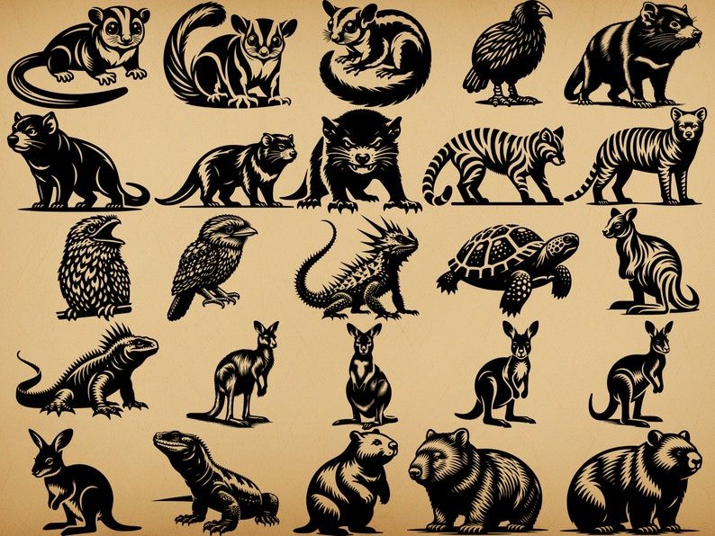100 Australian Animal Bundle | Commercial Use Vector Graphics | Svg ...