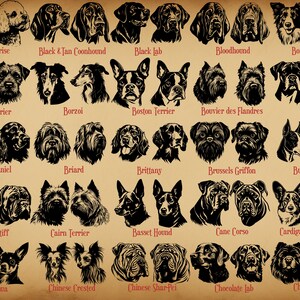 288 Dog Portrait Bundle | Commercial Use Vector Graphics | Svg, Png ...