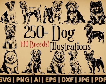 100 Cute Animal Bundle Commercial Use Vector Graphics Svg, Png, Dxf ...