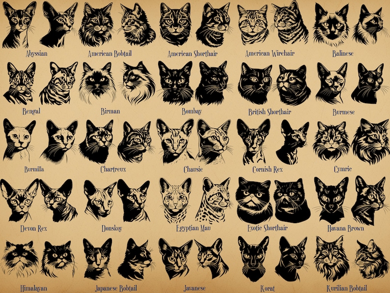 100 Cat Portrait Bundle Commercial Use Vector Graphics - Etsy