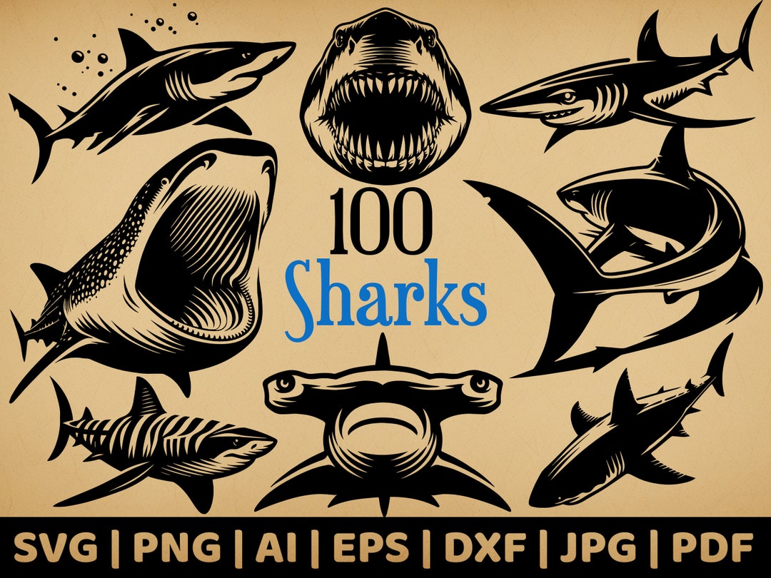 100 Shark Week Bundle | Commercial Use Vector Graphics | Svg, Png, Dxf ...