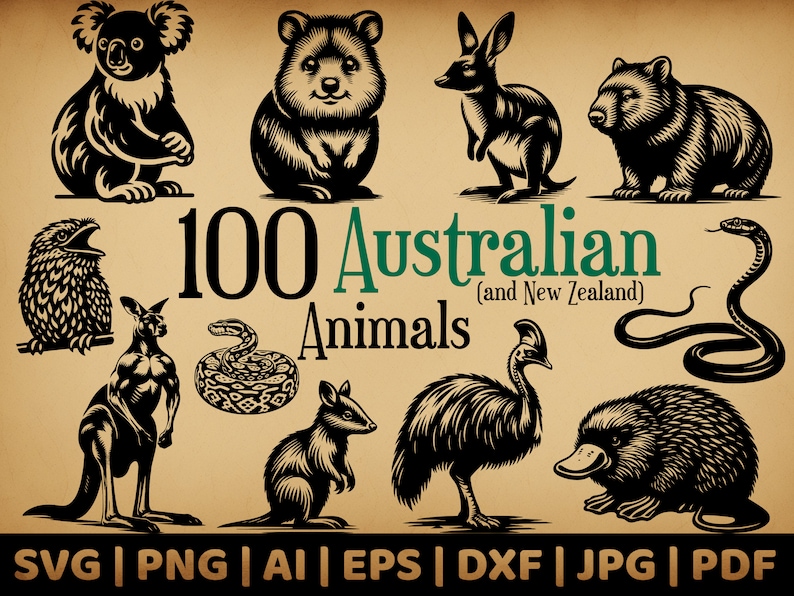 1000 Animal Vector Bundle | Farm, Safari, Australian, American, Asian ...