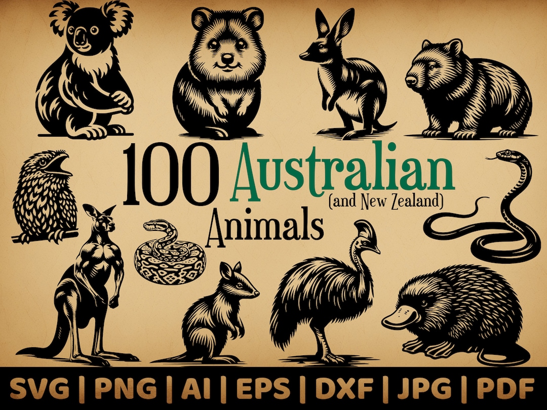 100 Australian Animal Bundle | Commercial Use Vector Graphics | Svg ...