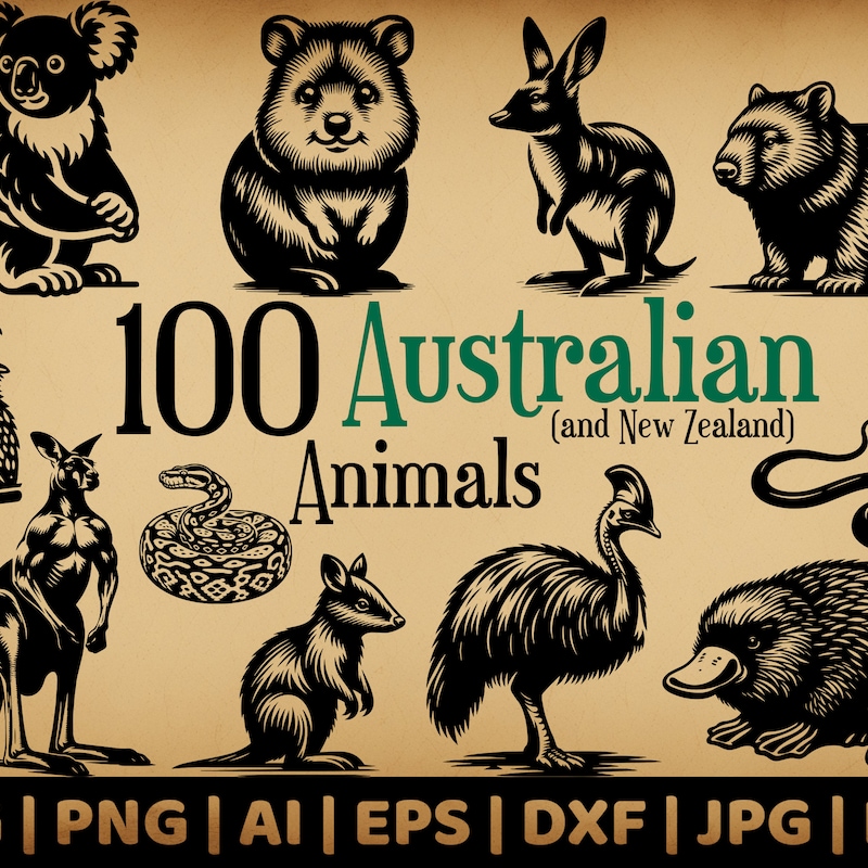 Australian Animals - Etsy