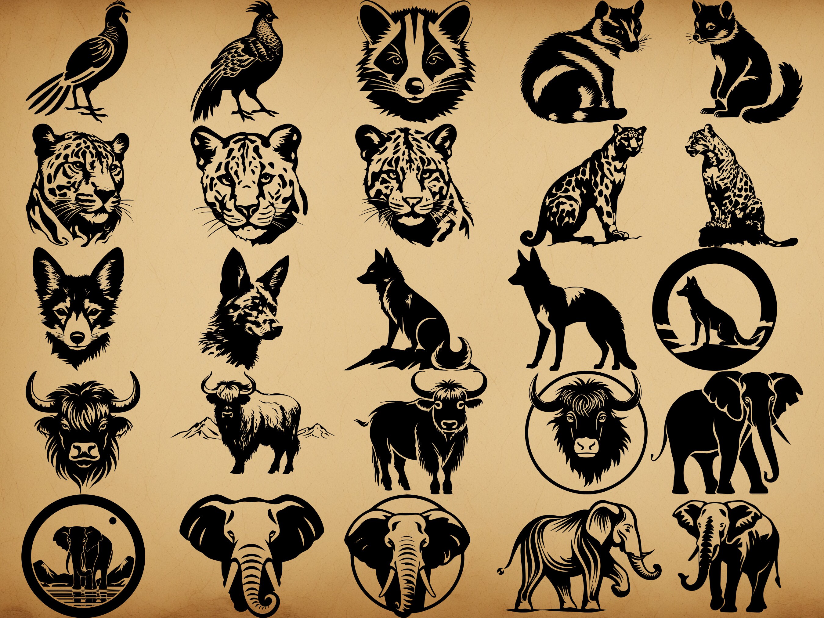 200 Asian Animal Bundle Commercial Use Vector Graphics - Etsy