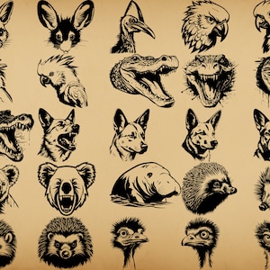 75 Australian Animal Bundle | Commercial Use Vector Graphics | Svg, Png ...