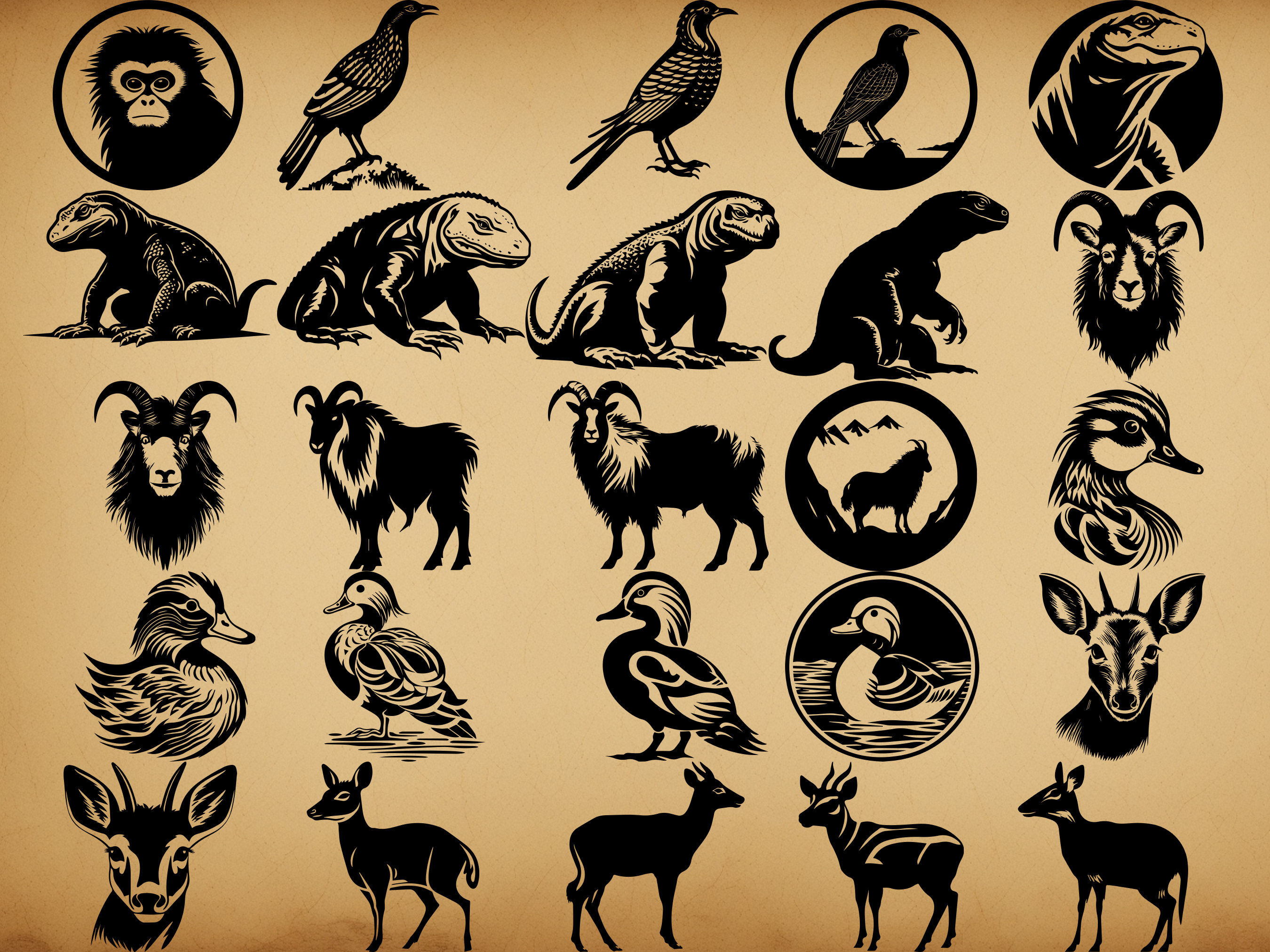 200 Asian Animal Bundle Commercial Use Vector Graphics - Etsy