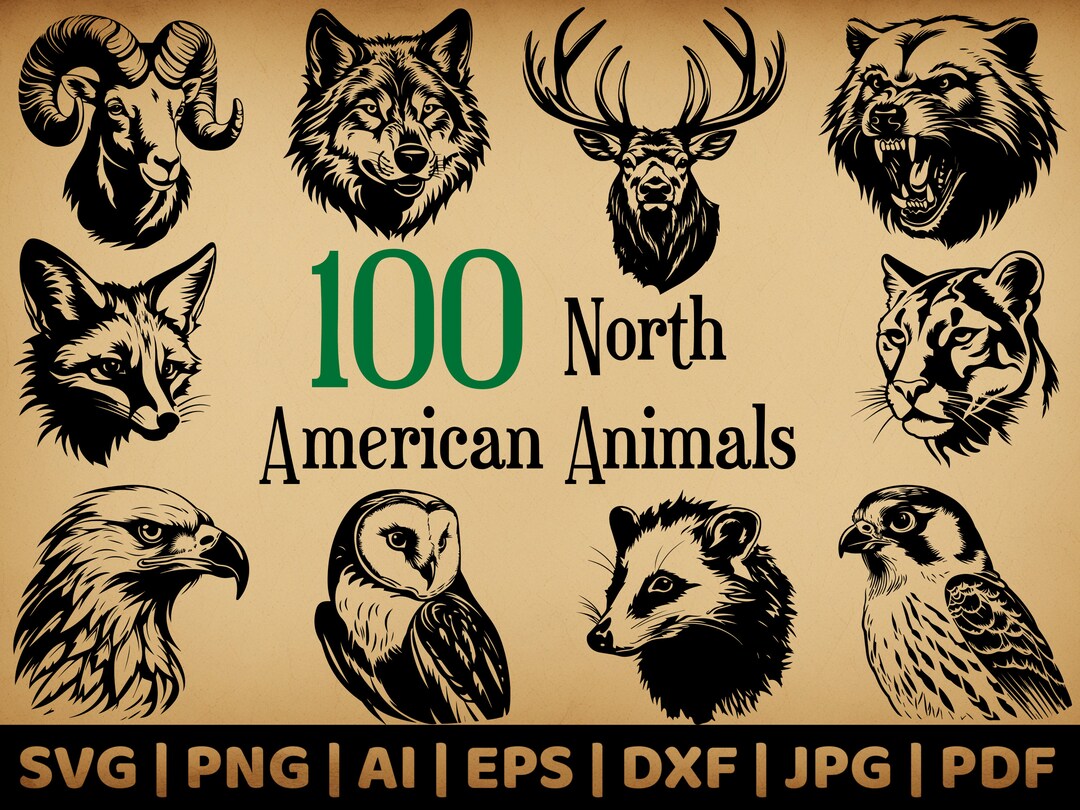 100 North American Animal Bundle | Commercial Use Vector Graphics | Svg ...