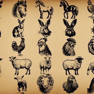 100 Farm Animals Bundle | Barnyard Wildlife Vector Graphics | Svg, Png ...