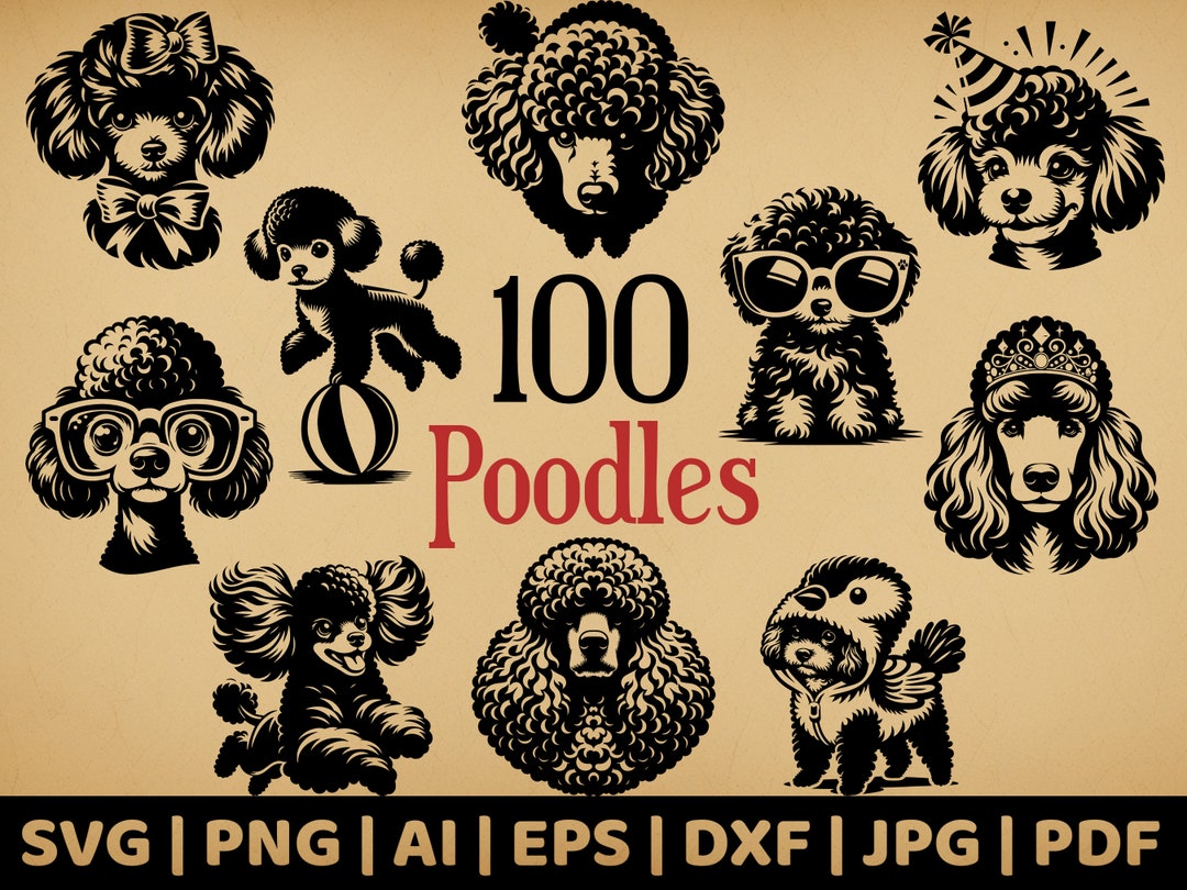 100 Poodles Bundle | Commercial Use Vector Graphics | Svg, Png, Dxf ...