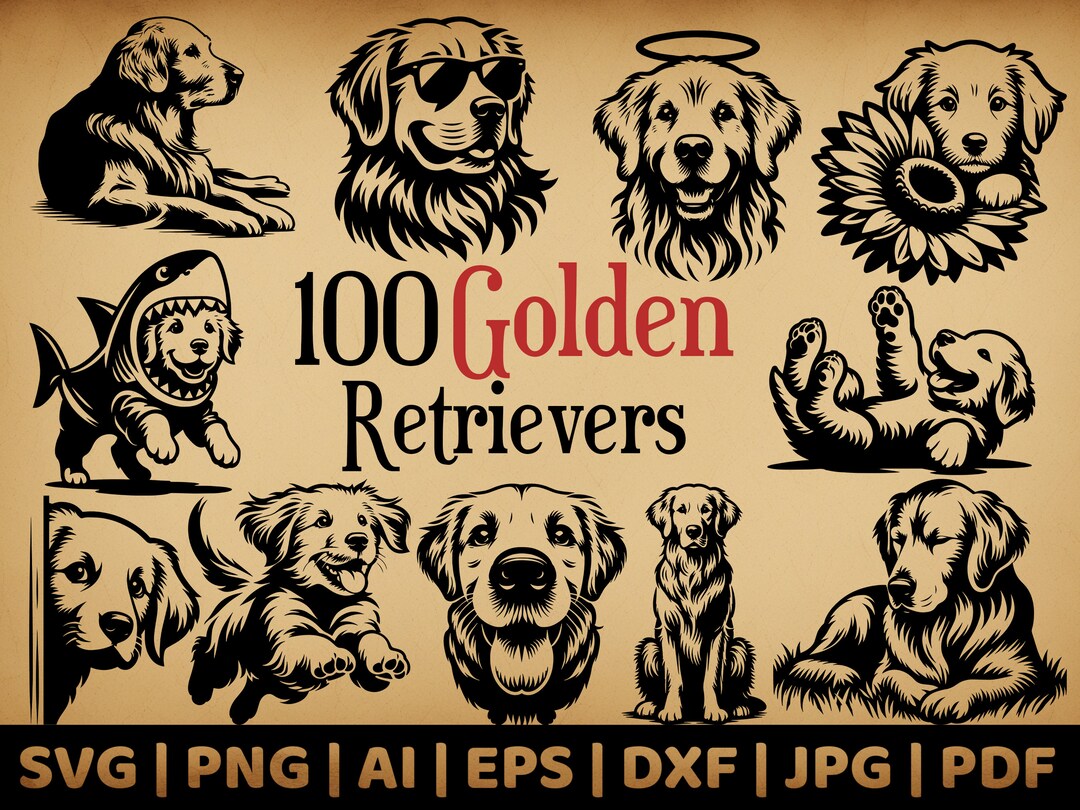 100 Golden Retriever Bundle | Commercial Use Vector Graphics | Svg, Png ...