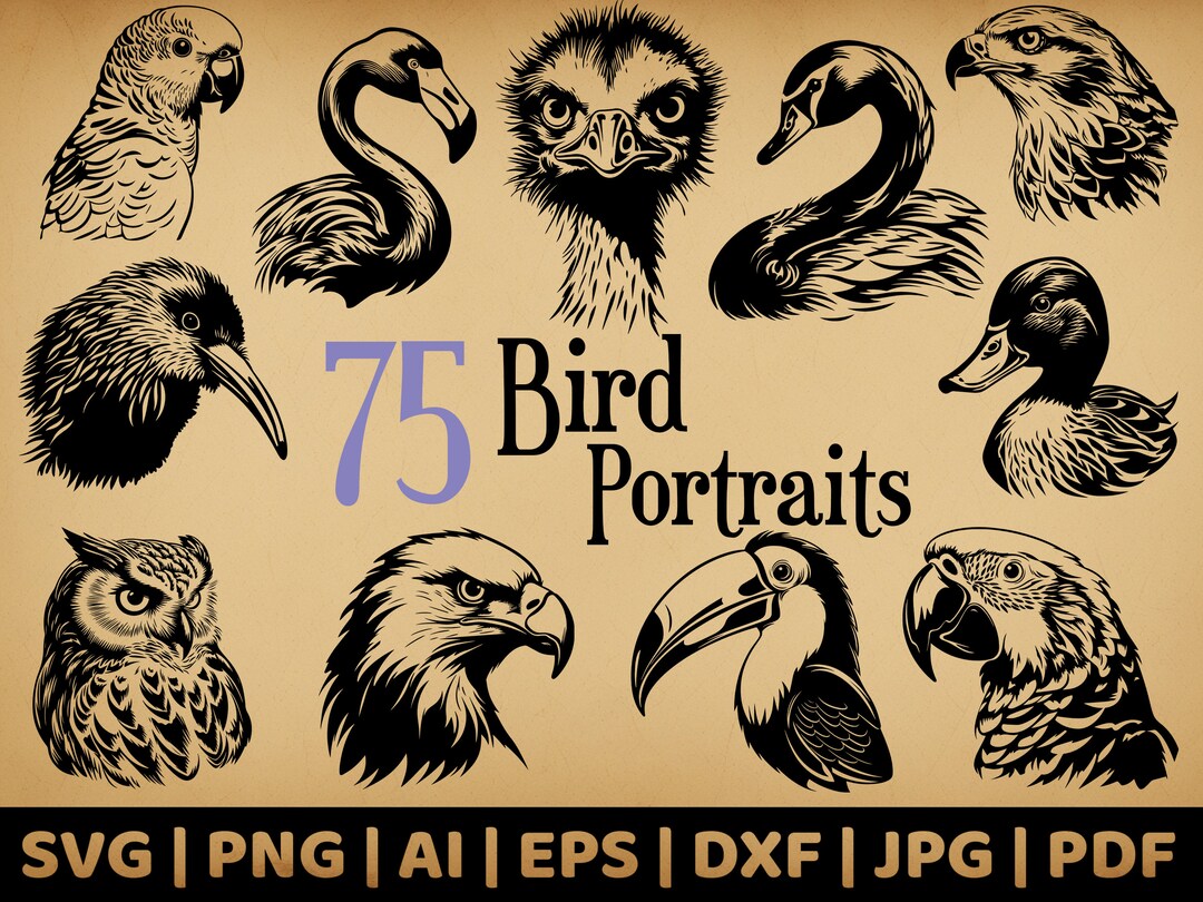 75 Bird Portrait Bundle | Commercial Use Vector Graphics | Svg, Png ...