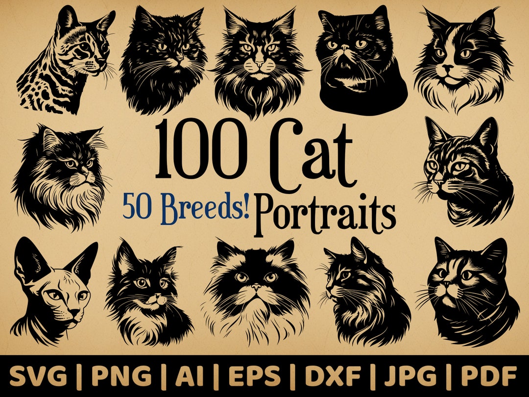 100 Cat Portrait Bundle | Commercial Use Vector Graphics | Svg, Png ...