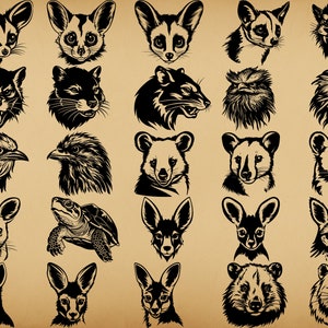 75 Australian Animal Bundle | Commercial Use Vector Graphics | Svg, Png ...