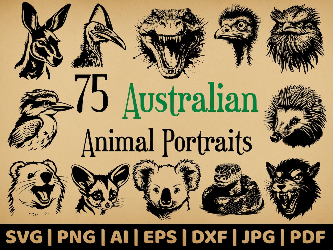 75 Australian Animal Bundle | Commercial Use Vector Graphics | Svg, Png ...