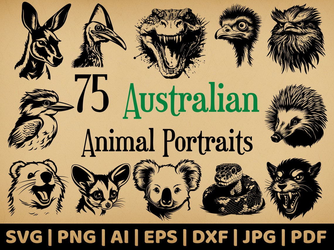 75 Australian Animal Bundle | Commercial Use Vector Graphics | Svg, Png ...