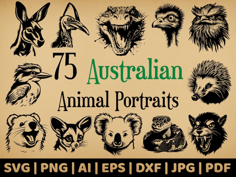 75 Australian Animal Bundle | Commercial Use Vector Graphics | Svg, Png ...