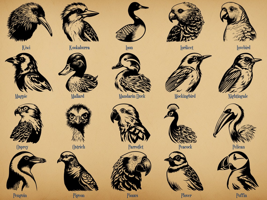 75 Bird Portrait Bundle | Commercial Use Vector Graphics | Svg, Png ...