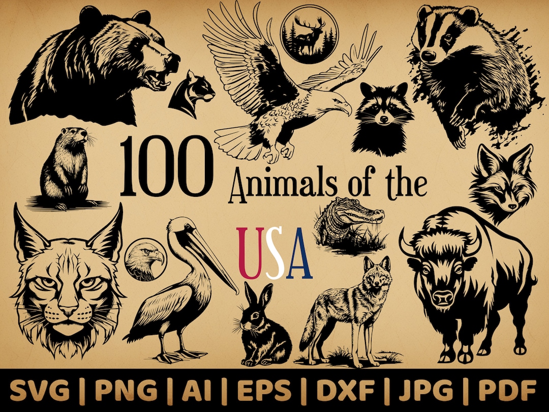 100 American Animals PNG SVG Bundle | Sublimation | Instant Download ...