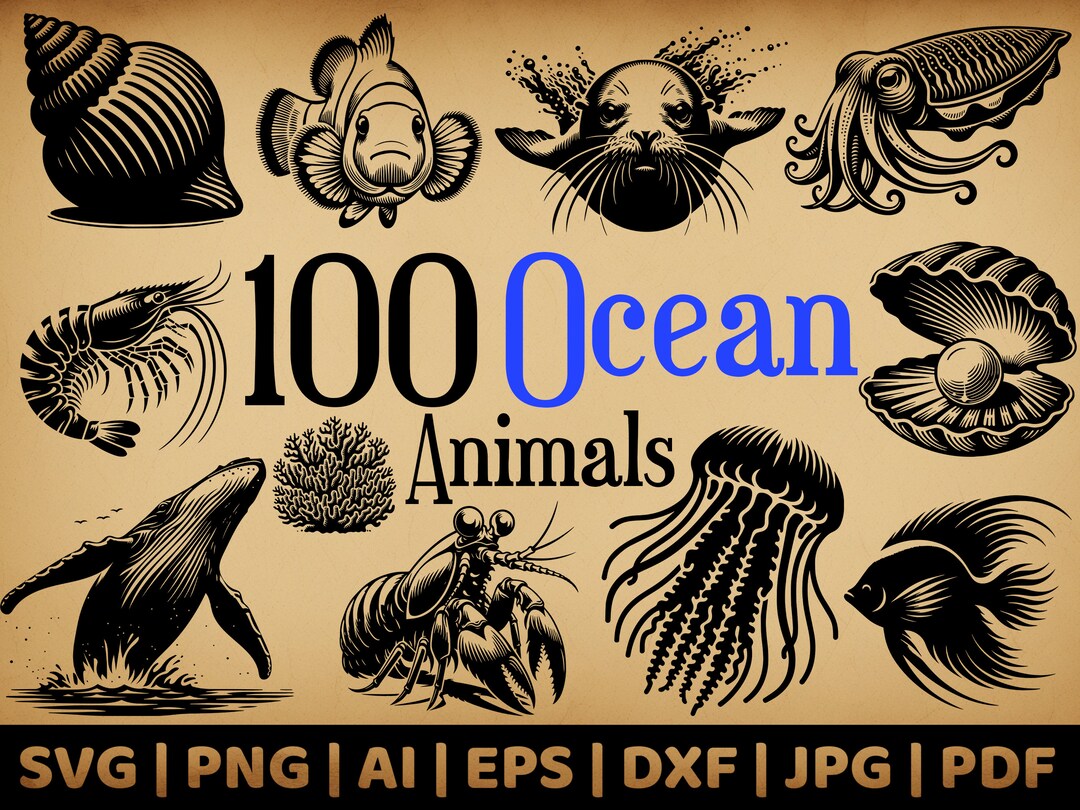 100 Ocean Animal Bundle Commercial Use Vector Graphics Svg, Png, Dxf ...