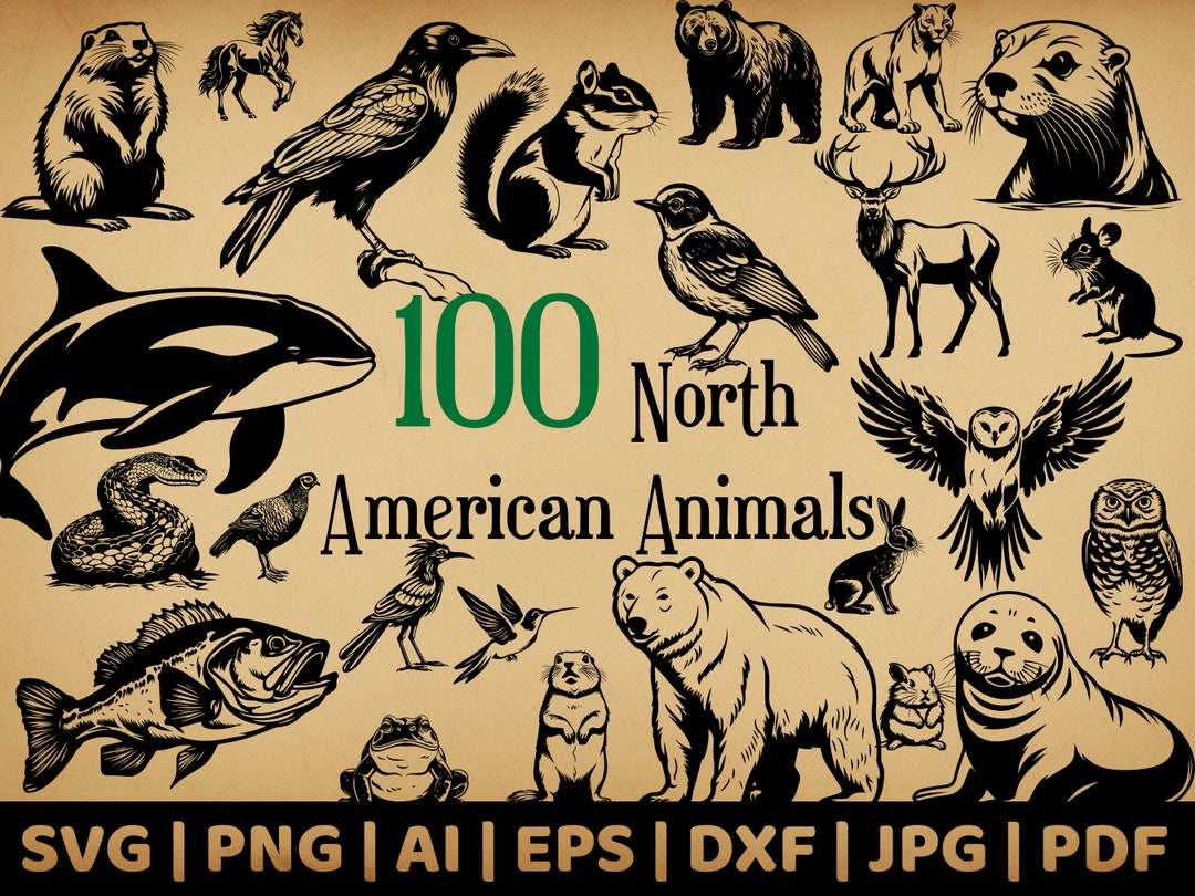 100 North American Animal Bundle | Woodland, Mountain, Aquatic Fauna ...