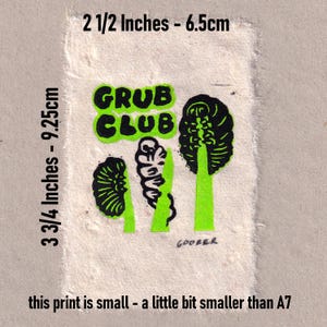 Bloody Nosed Beetle Larvae - Grub Club - (6.5cm X 9.25cm) (3 3/4 X 2 1/ ...