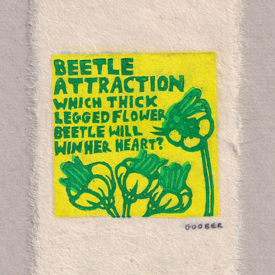 Thick Legged Flower Beetle - Beetle Attraction - (6.5cm X 9.25cm) (3 3/ ...