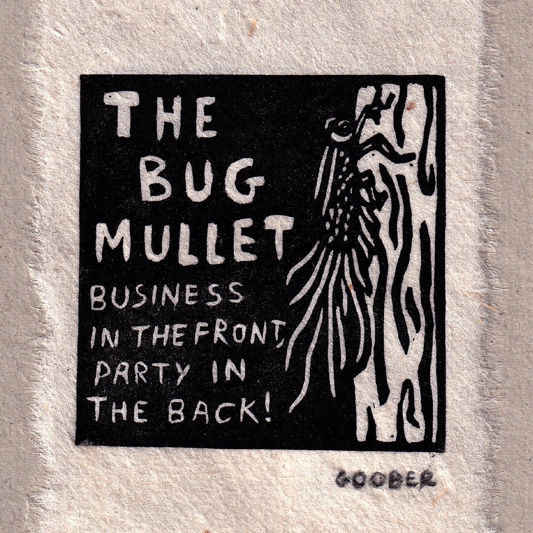 Wax-tail Planthopper - the Bug Mullet - (6.5cm X 9.25cm) (3 3/4 X 2 1/2 ...