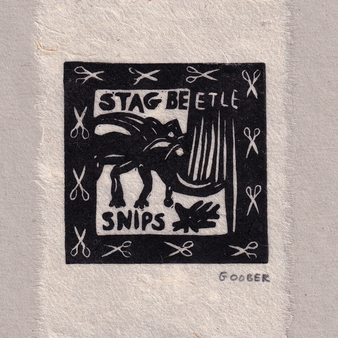 Stag Beetle - Snips - (6.5cm X 9.25cm) (3 3/4 X 2 1/2 INCHES) - Etsy
