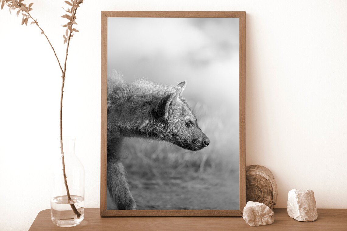 Limited Edition Print, Hyena Print, Hyena Safari Print, Fashion Wall ...