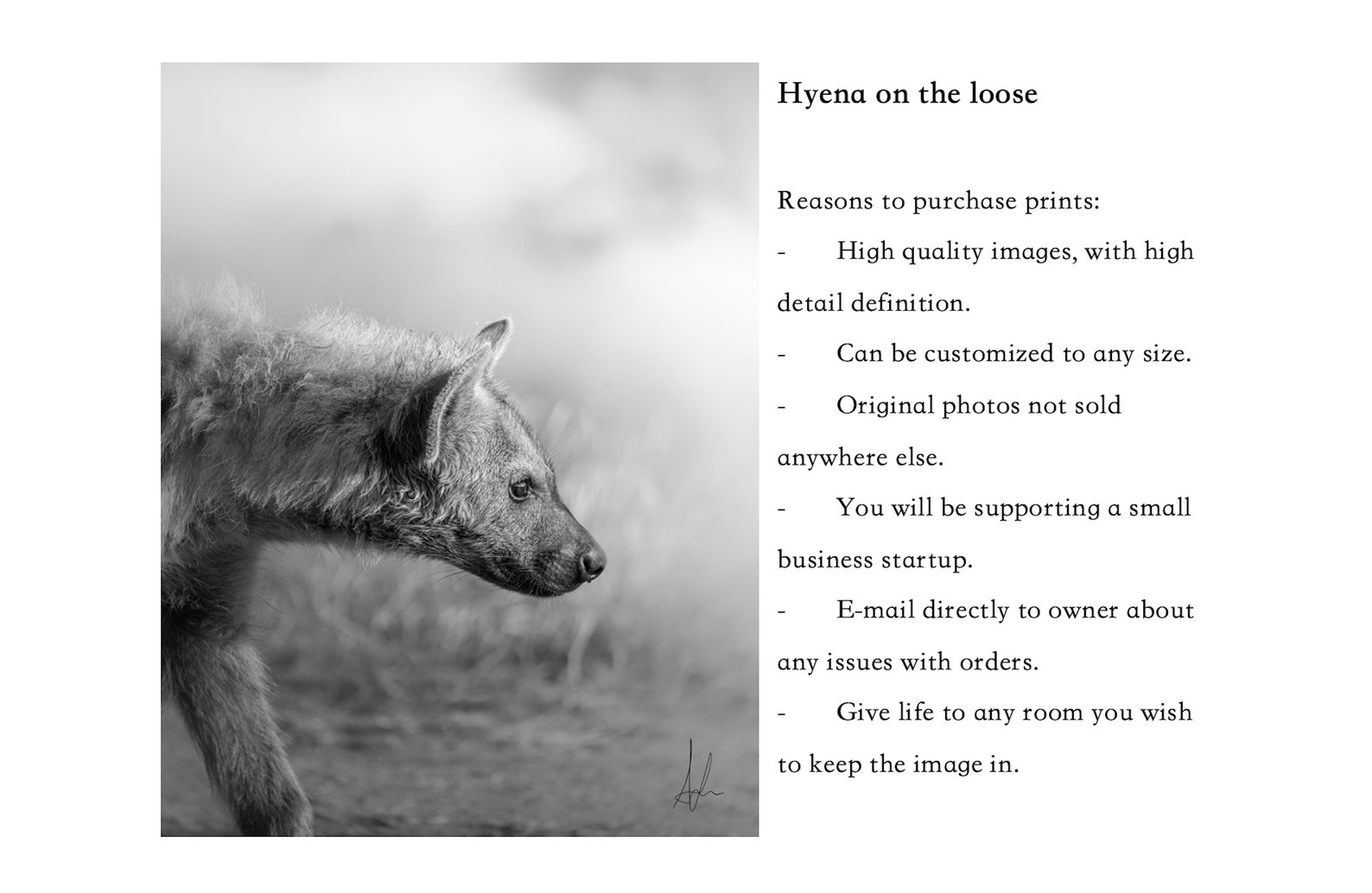 Limited Edition Print, Hyena Print, Hyena Safari Print, Fashion Wall ...