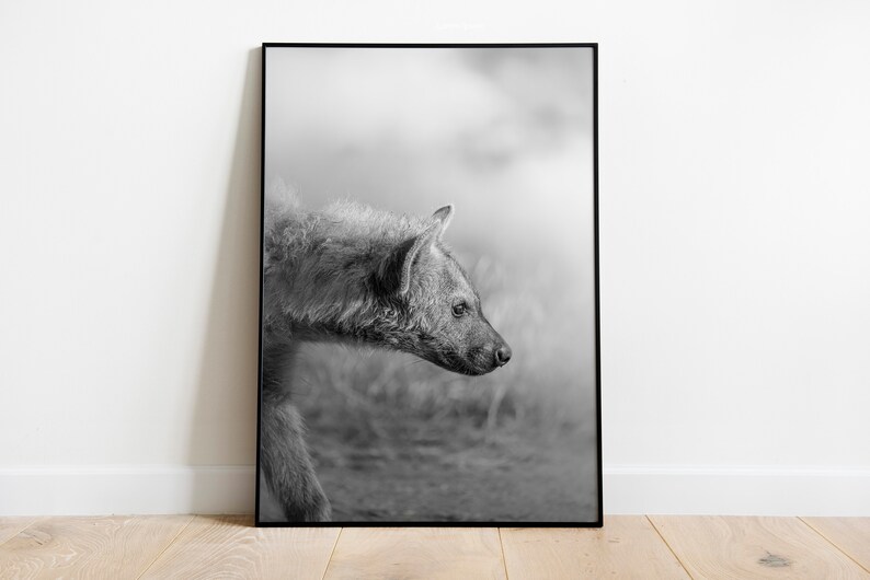Limited Edition Print, Hyena Print, Hyena Safari Print, Fashion Wall ...