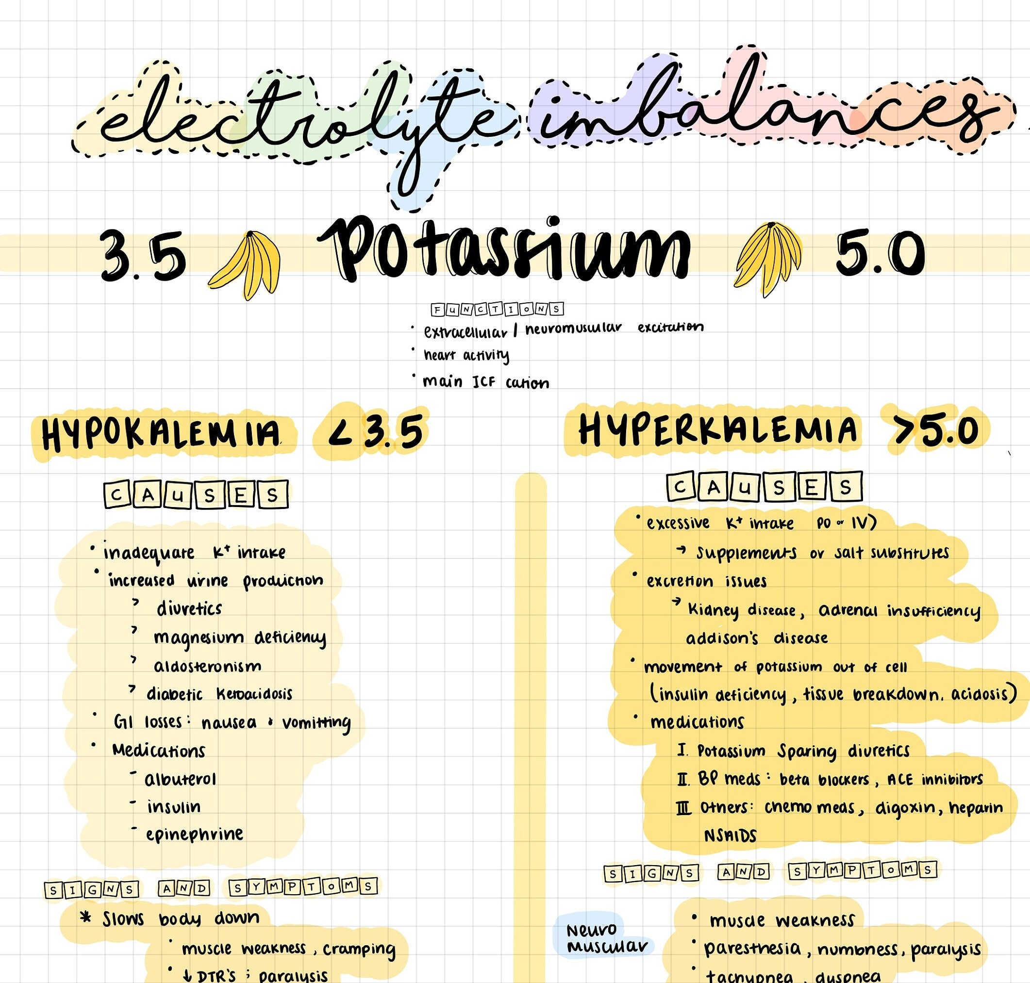 Electrolytes Nursing Notes: Colorful Study Guide (PDF Digital Download ...