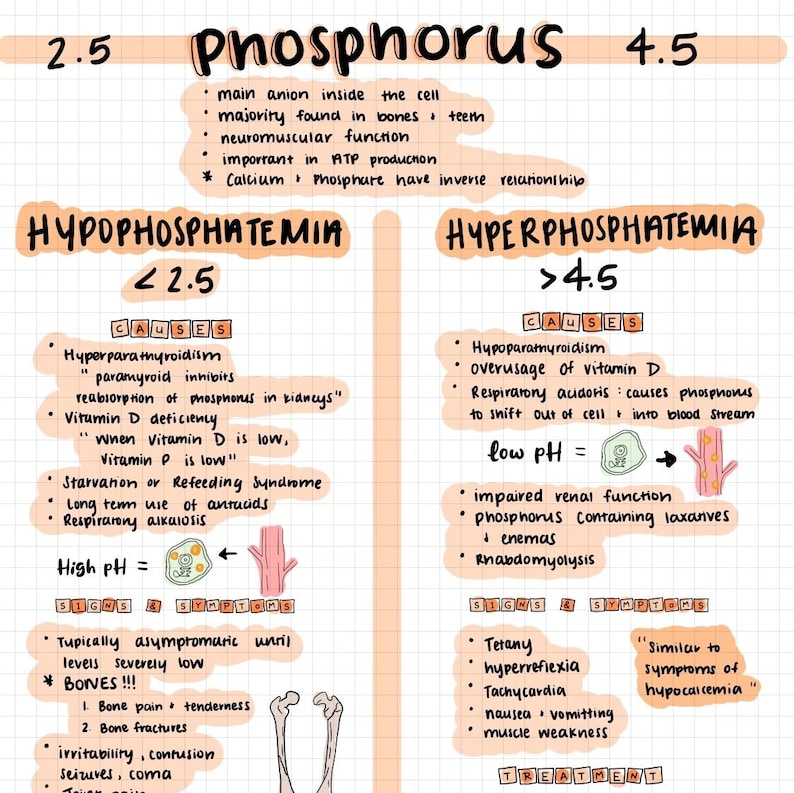 ELECTROLYTES Nursing Notes PDF Digital Download, NCLEX; Colorful ...