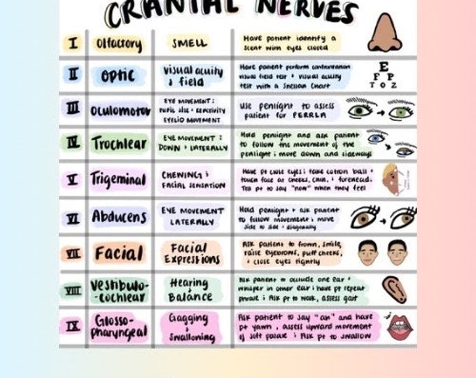 Cranial Nerve Cheat Sheet - Etsy Cranial Nerve Cheat Sheet - Etsy
