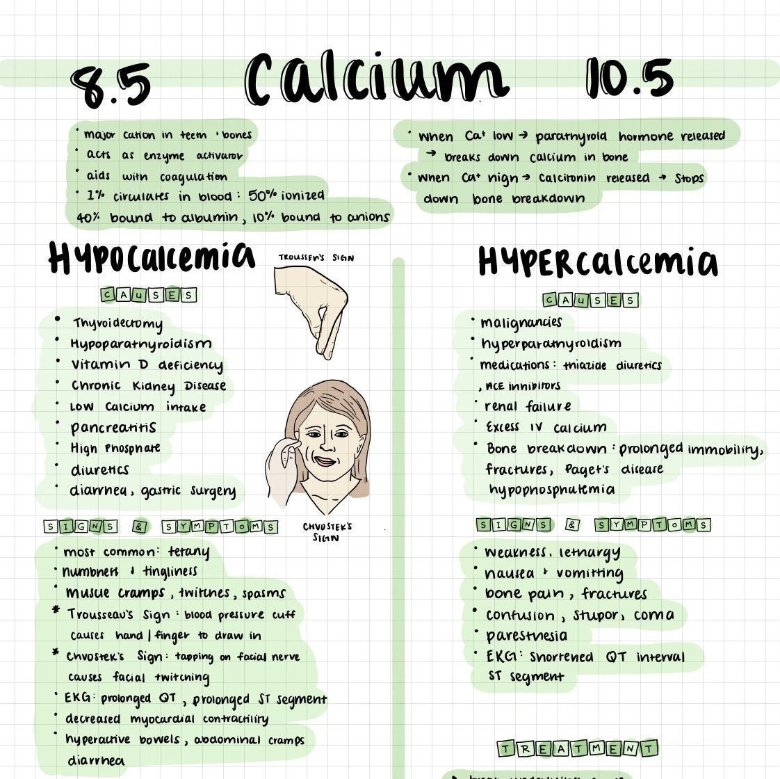 Electrolytes Nursing Notes: Colorful Study Guide (PDF Digital Download ...