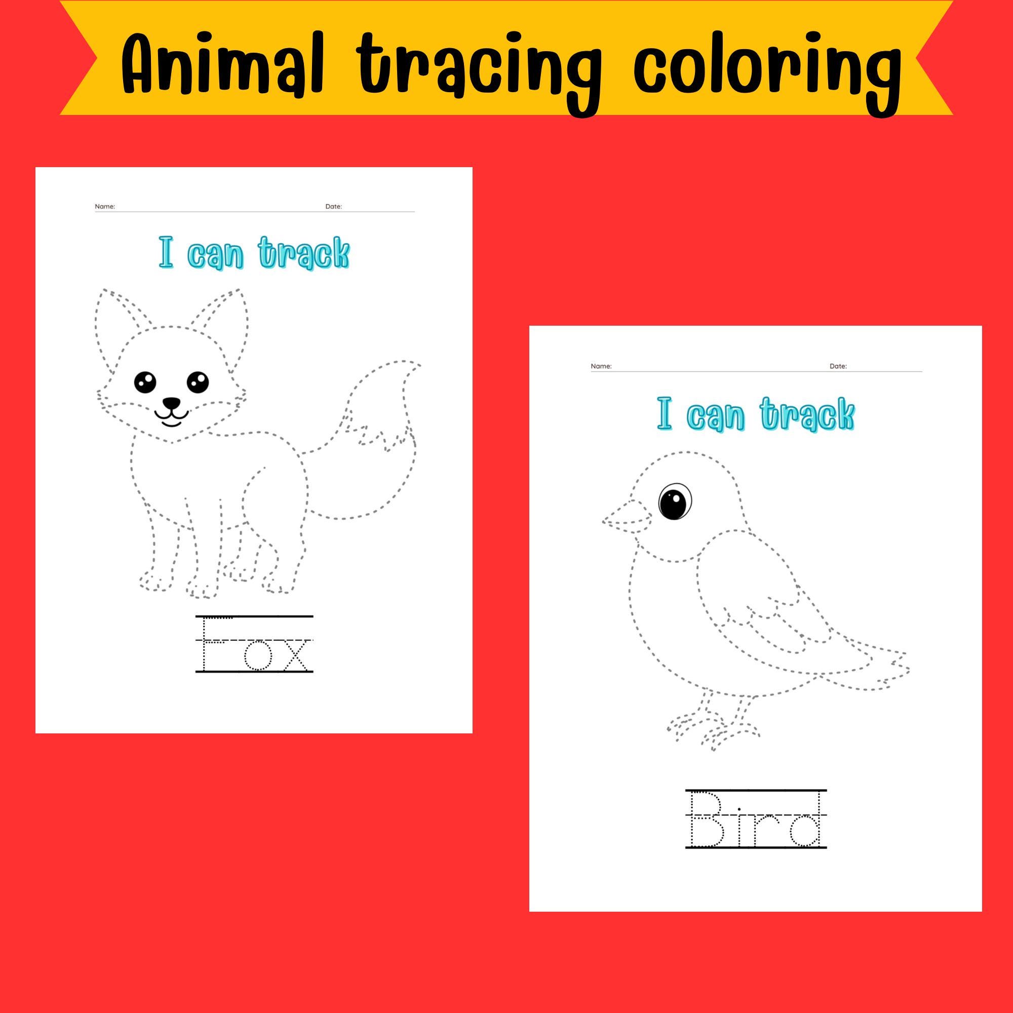 Animals Tracing Coloring Pages for Kids. 30 Pages - Etsy