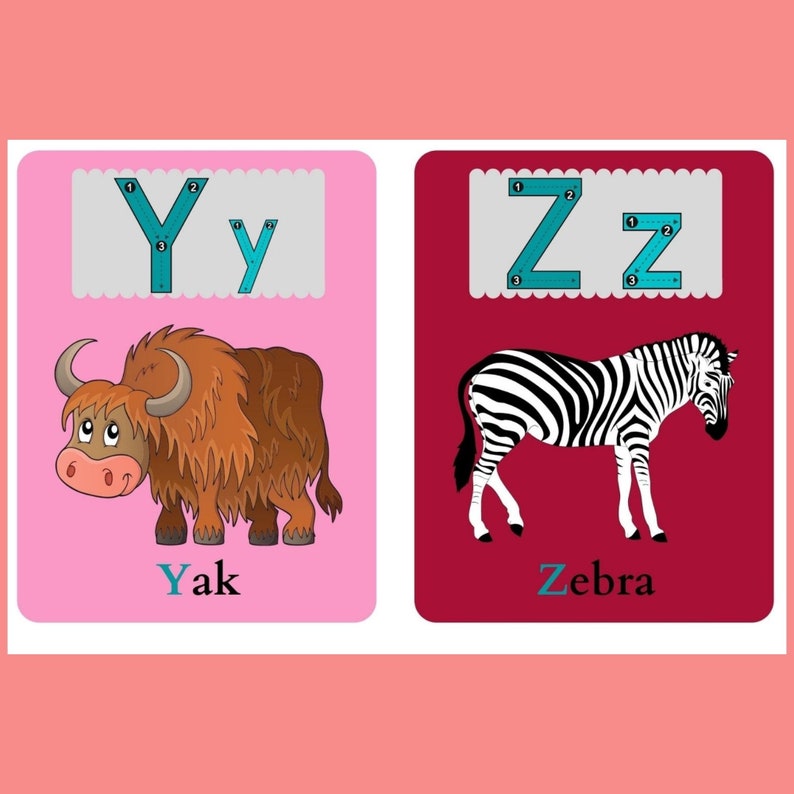 Alphabet Cards for Kids - Etsy