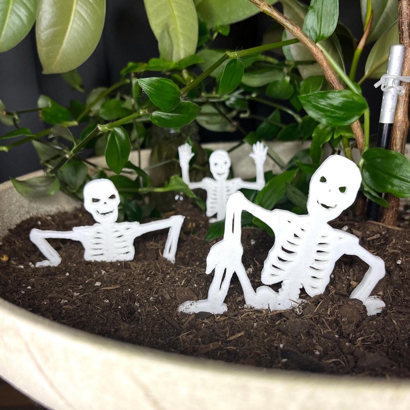 Skeleton Planter - Etsy