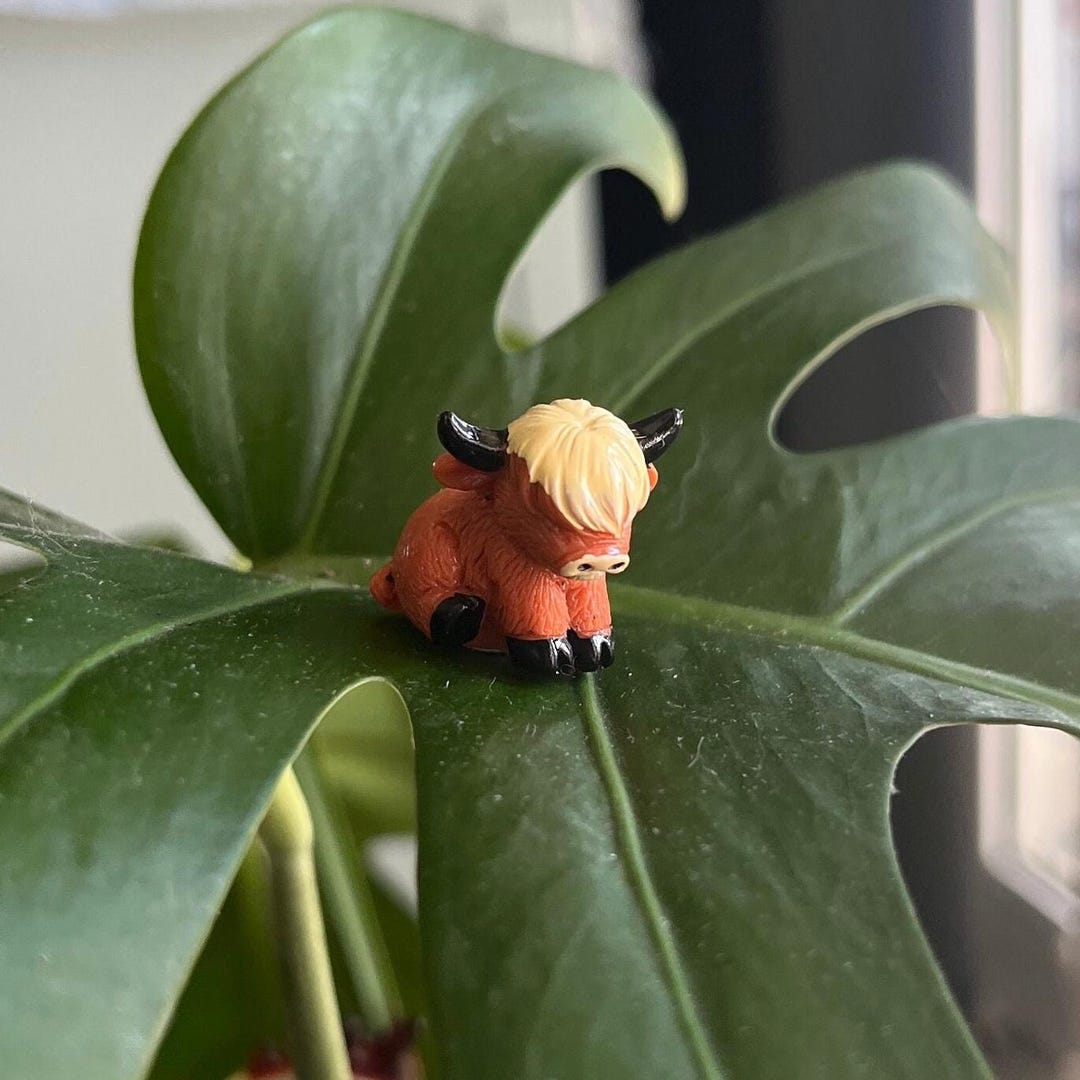 Highland Cow Plant Pal | Plant Safe Magnets for Foliage Lovers | Rests ...