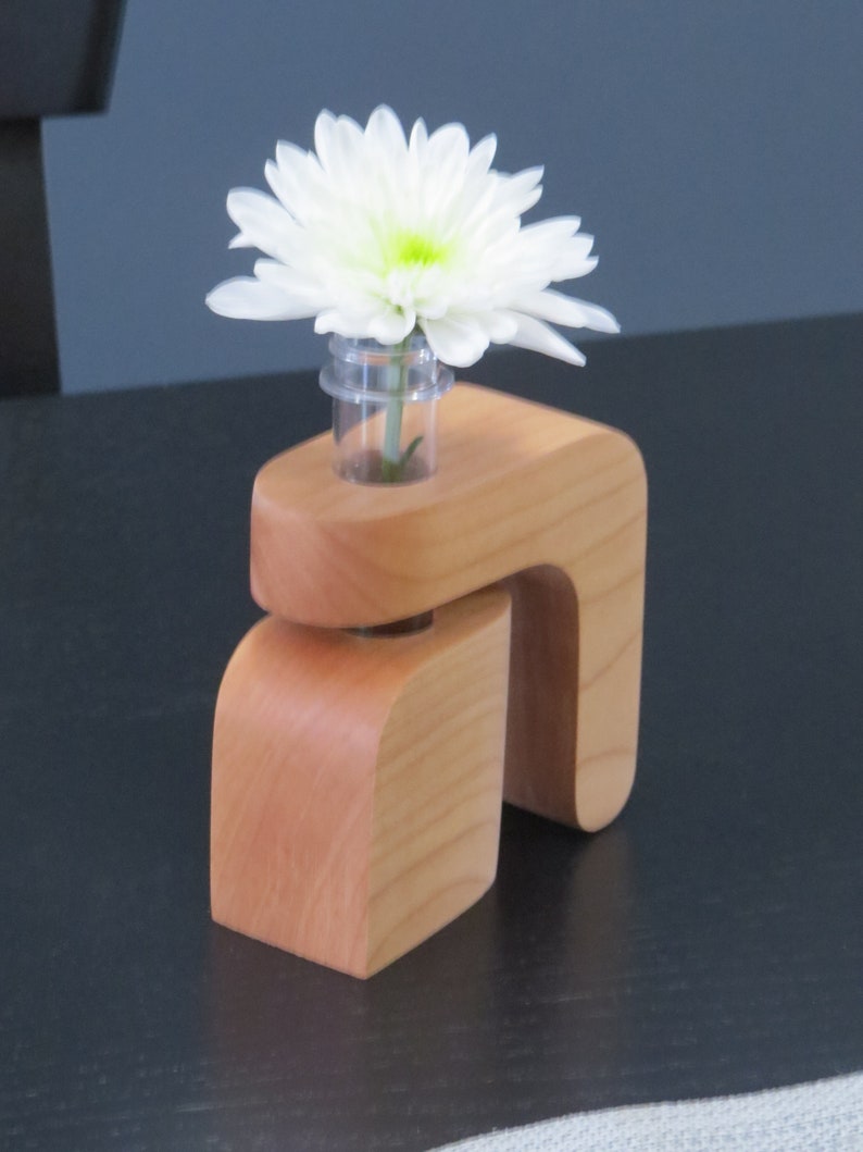 Propagation Station, Single Stem Vase, Hydroponic Vase, Indoor Plant ...