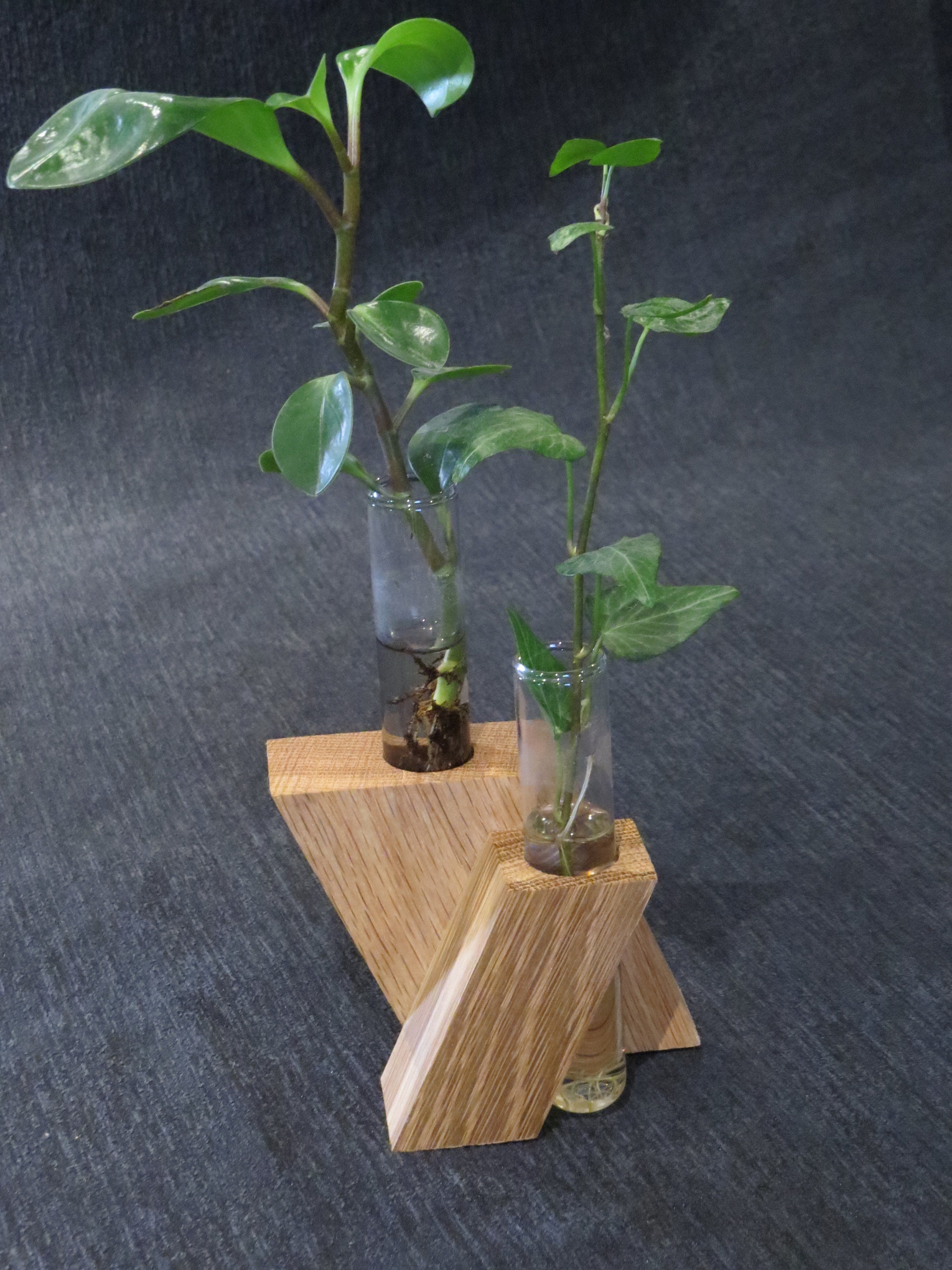 Propagation Base, White Oak Propagator, Hydroponic Vase, Indoor Plant ...