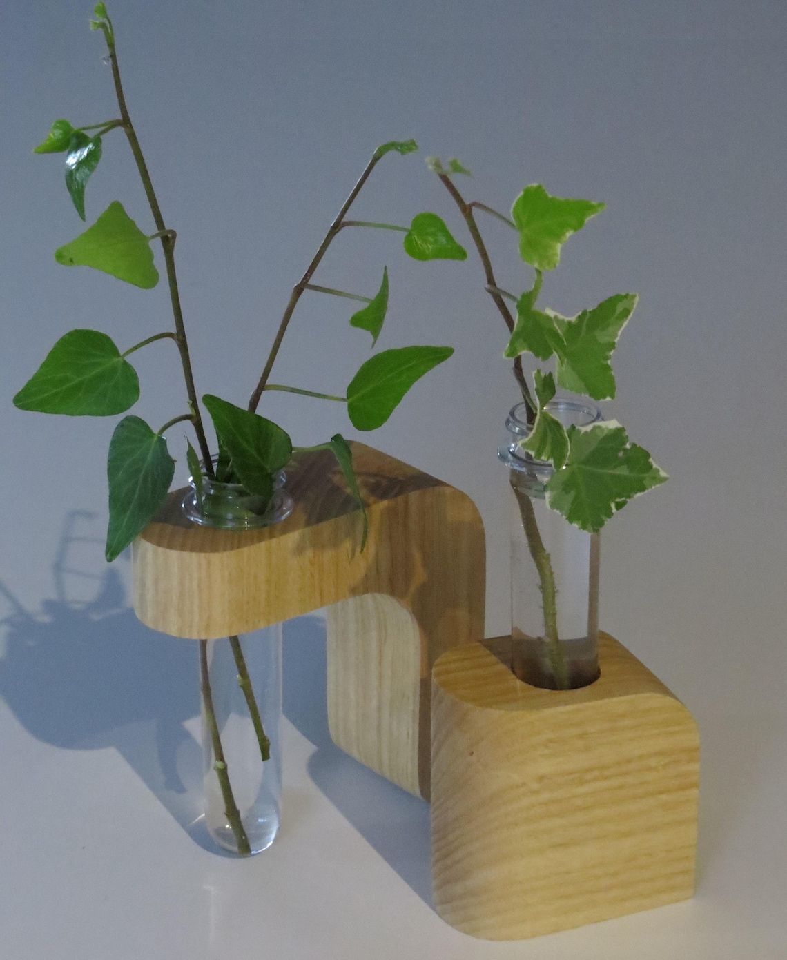 Propagation Station Single Stem Vase Hydroponic Vase Indoor - Etsy