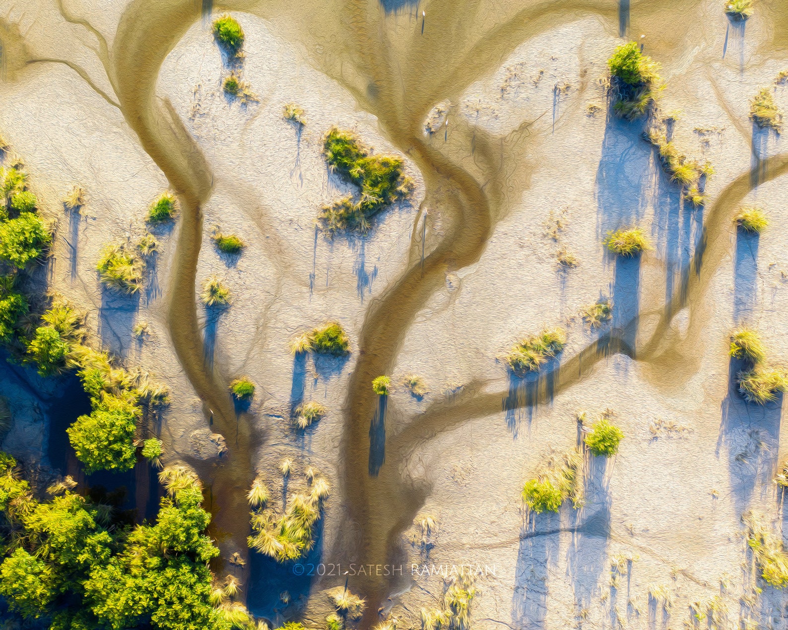 Florida Landscape Paintings Abstract Wall Art for Home and | Etsy