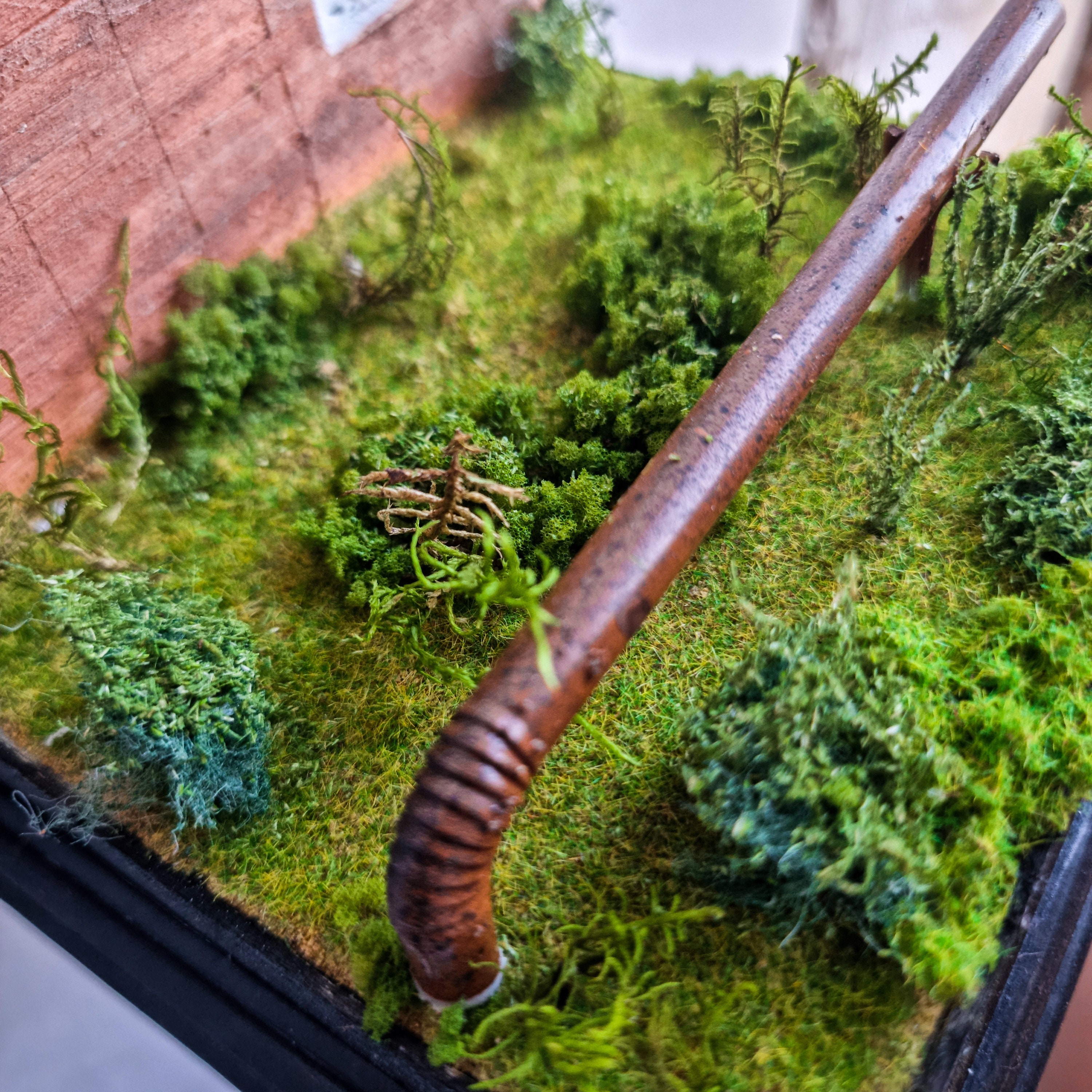 Contemporary Building Facade Diorama With Miniature Garden: Modern ...