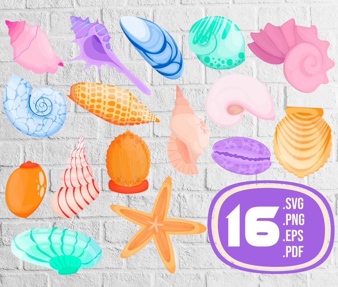 Seashell Svgeashell SVG Bundle Sea Shell Svgseashell - Etsy
