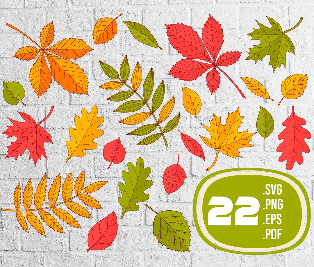 Autumn Leaves Svg Bundle,fall Leaves Svg,leaf Svg ,fall Leaf Pattern ...